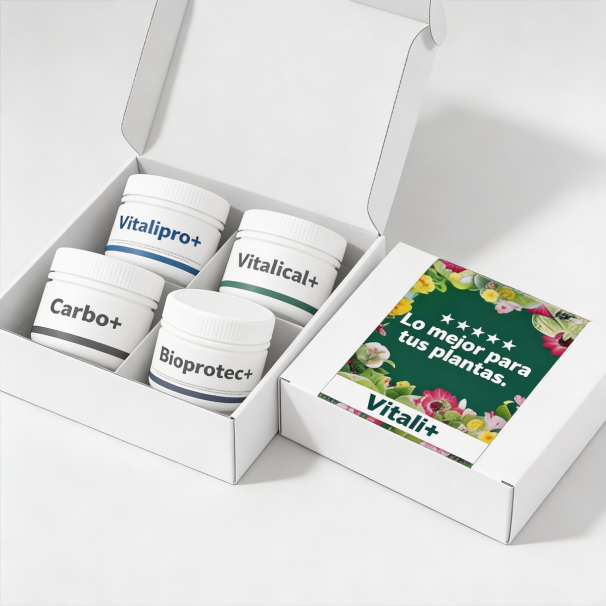 Bioestimulantes Naturales Vitali+ Chile: Plantas de Interior Fuertes y ...
